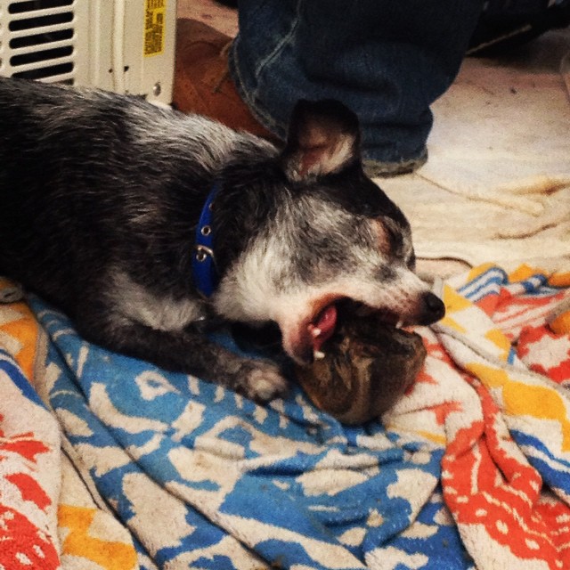 New SFRAW Masters: Mentoring & Apprenticeship Program – San Francisco ...